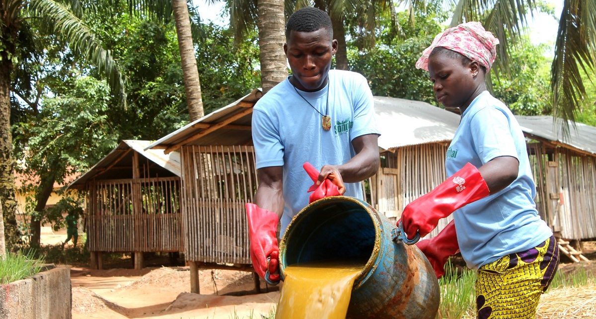 Songhaï – L'Afrique relève la tête